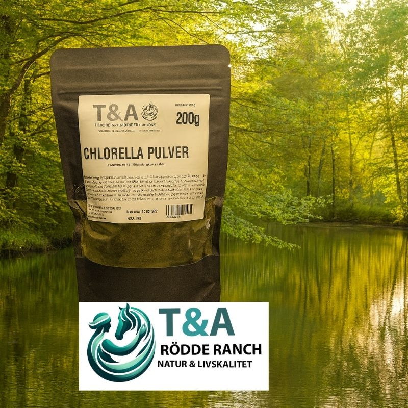 T&A | Chlorella pulver 200 g – superfood, klorofyll & protein